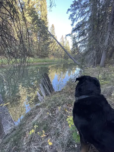 Best Hikes and Trails in Spruce View | AllTrails