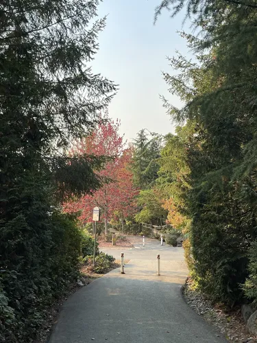 Best City Walk Trails in Langley | AllTrails