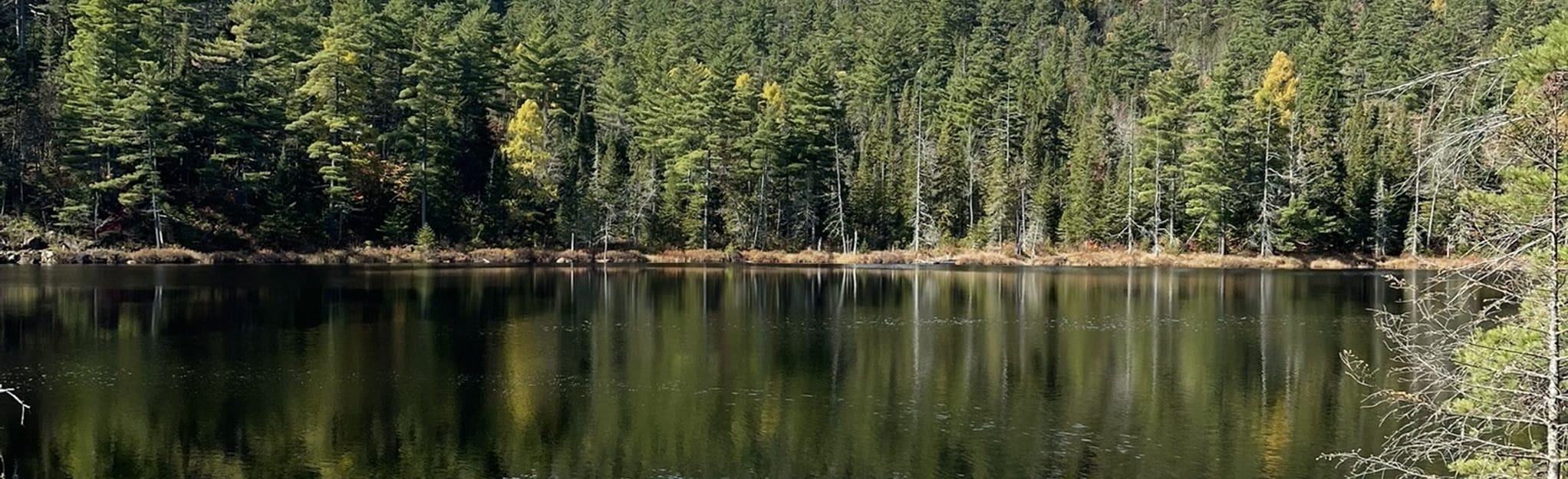 Sentier des Trois Monts: 18 Reviews, Map - Quebec, Canada | AllTrails