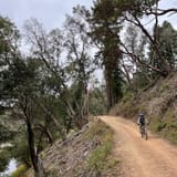 Lake Lagunitas, California - 622 Reviews, Map | AllTrails