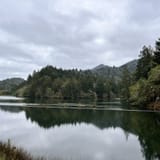 Lake Lagunitas, California - 622 Reviews, Map | AllTrails