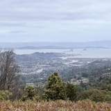 Lake Lagunitas, California - 622 Reviews, Map | AllTrails