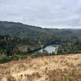 Lake Lagunitas, California - 622 Reviews, Map | AllTrails