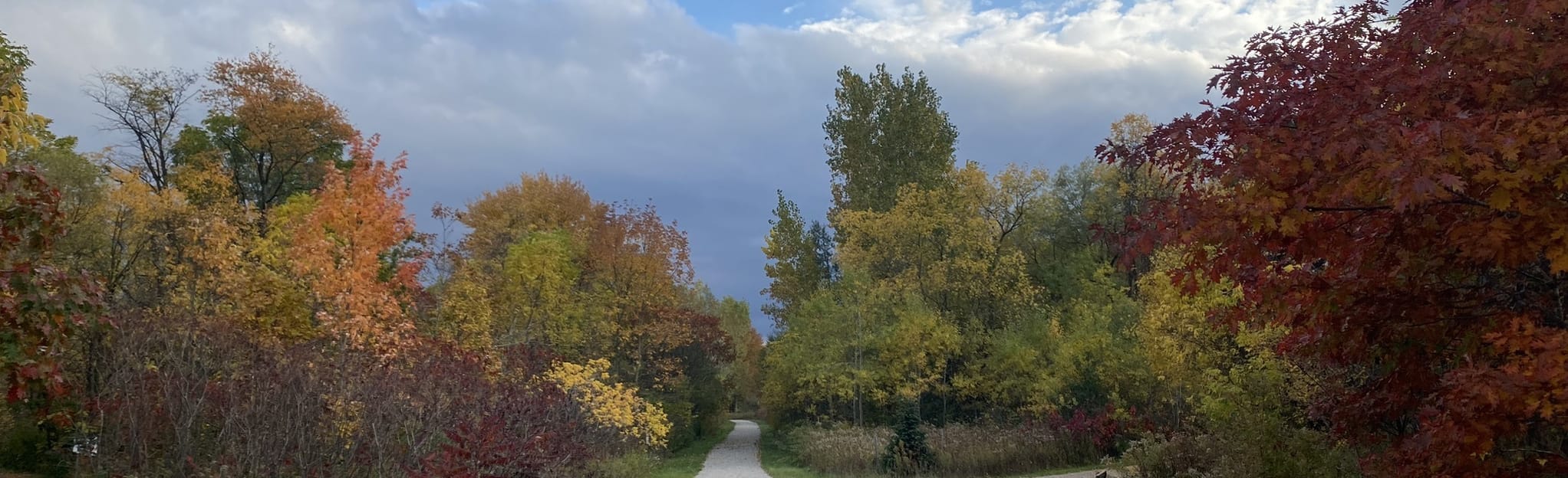 Standard Tube Burgess Park Trail, Ontario, Canada - 492 Reviews, Map ...