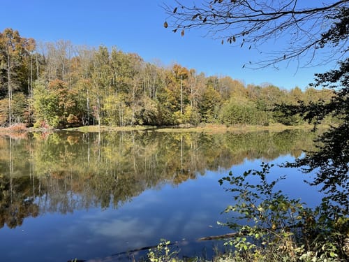 2023 Best trails in Hemlock Overlook Regional Park | AllTrails