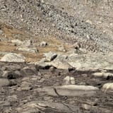 Abyss Lake via Abyss Lake Trail #602, Colorado - 536 Reviews, Map ...