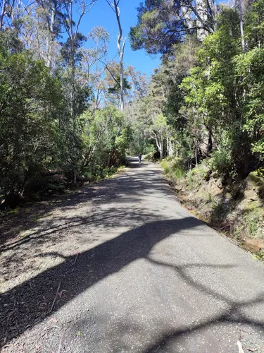 Best Hikes and Trails in Mount Barrow State Reserve | AllTrails