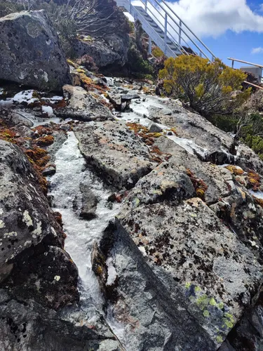 Best Hikes and Trails in Mount Barrow State Reserve | AllTrails