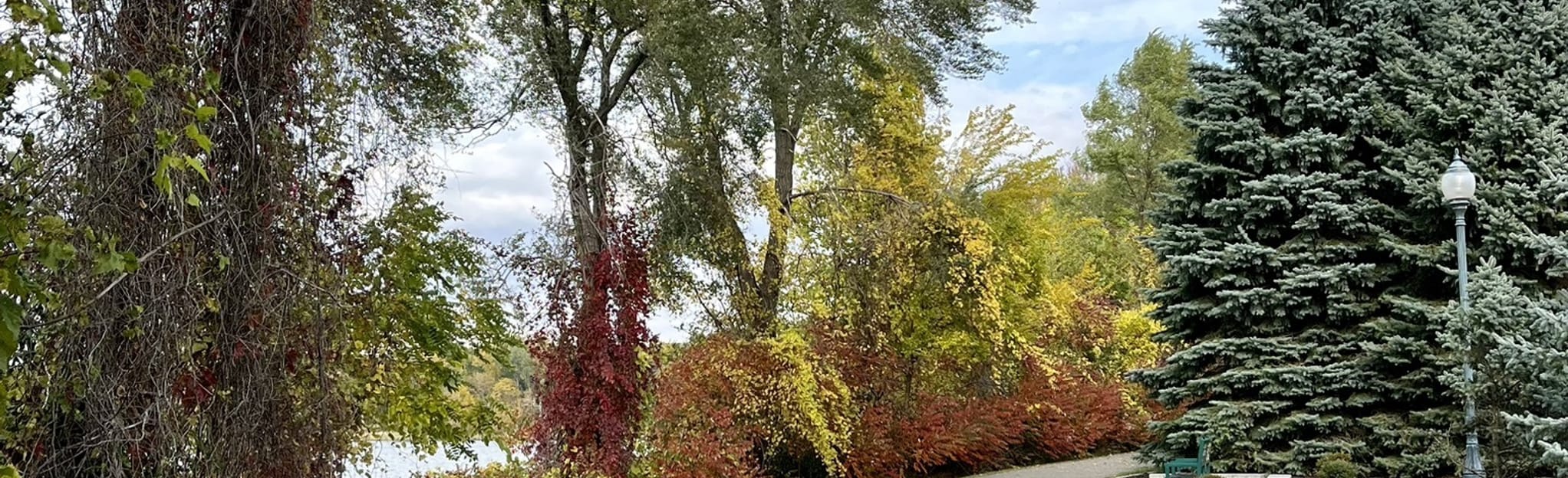 Pike Lake and Beyer Farm Trail, Indiana - 59 Reviews, Map | AllTrails