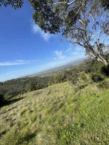 Best Hikes and Trails in Scone Mountain National Park | AllTrails