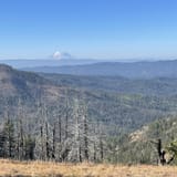 Tronsen Ridge Trail, Washington - 123 Reviews, Map | AllTrails
