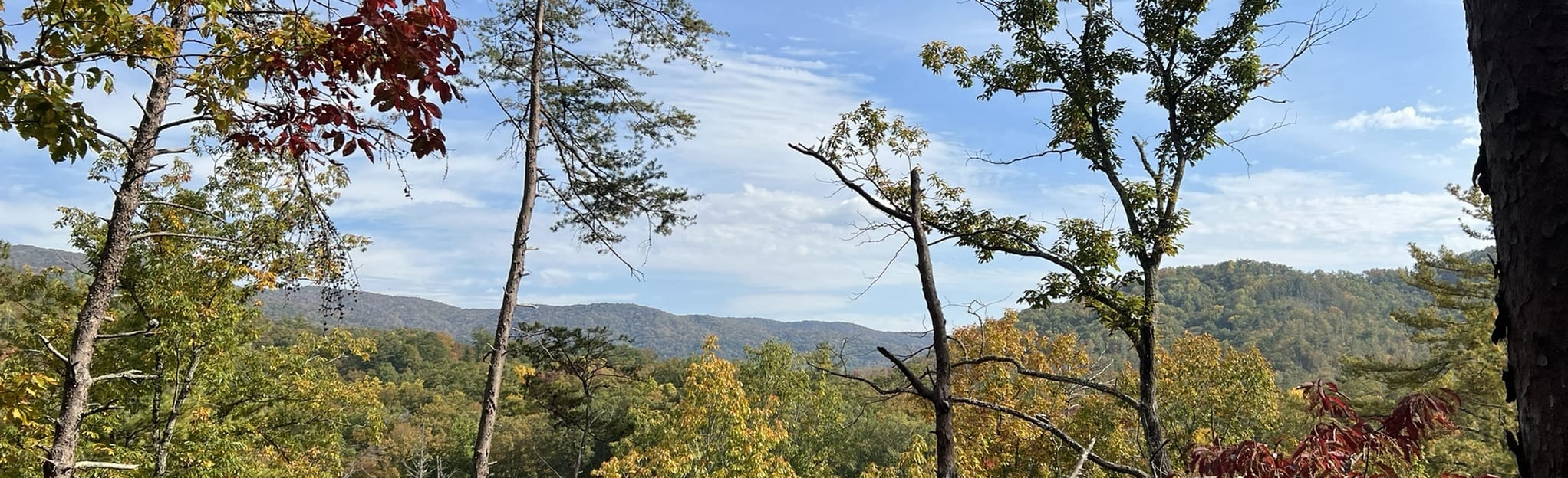 Hemptop, Penitentiary Branch, Jacks River and Beech Bottoms Trail: 4 ...