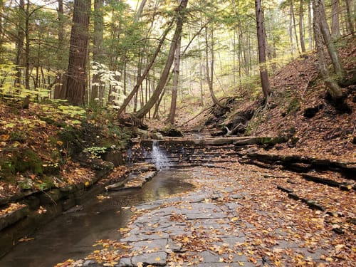 2023 Best trails in Plotter Kill Nature Preserve | AllTrails