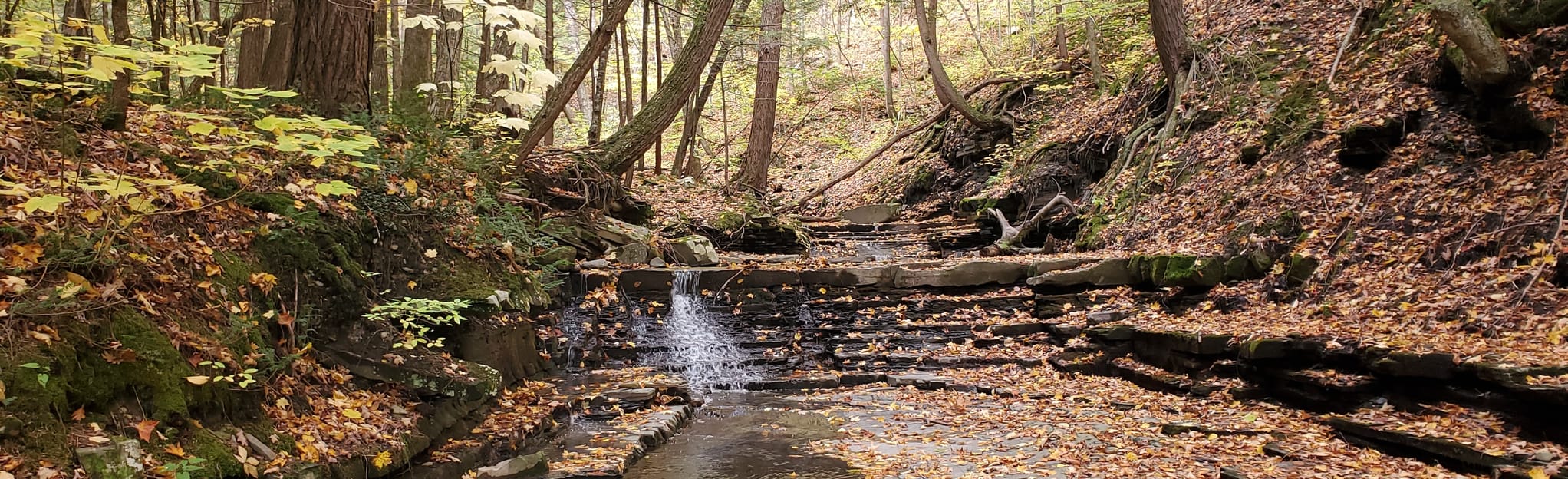 North Rim and South Rim Red Trail Loop, New York - 1,428 Reviews, Map ...