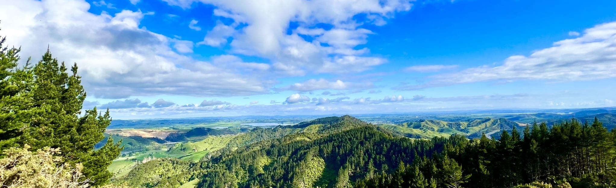 Mount Taupiri Track, Waikato, New Zealand - 35 Reviews, Map | AllTrails