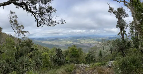 10 Best Walking Trails in Bunya Mountains National Park | AllTrails
