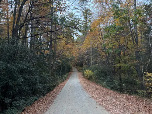 10 Best Hikes and Trails in Blue Ridge Wildlife Management Area | AllTrails