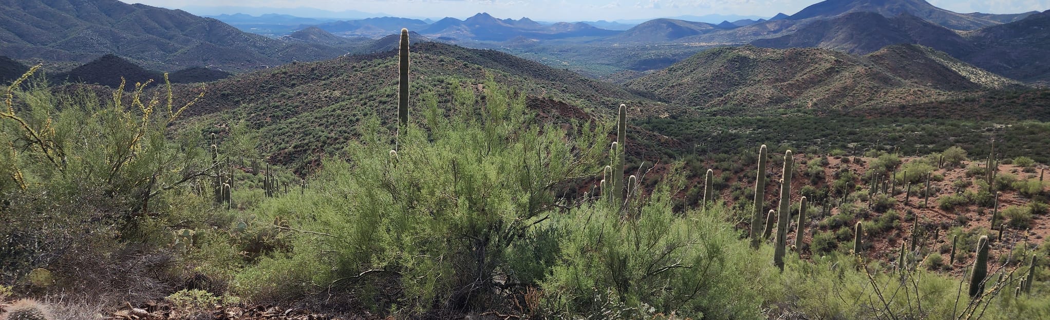 Skull Mesa Trail: 506 Reviews, Map - Arizona | AllTrails