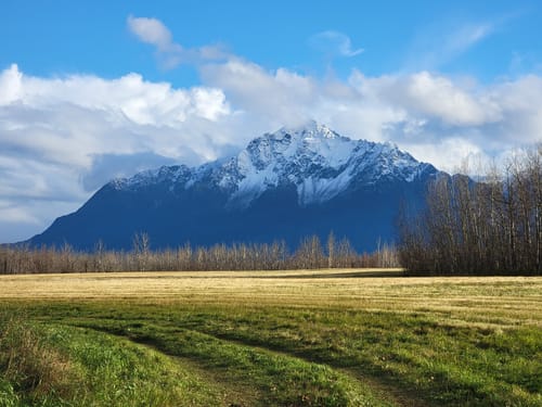 Best Hikes and Trails in Matanuska Lakes State Recreation Area | AllTrails