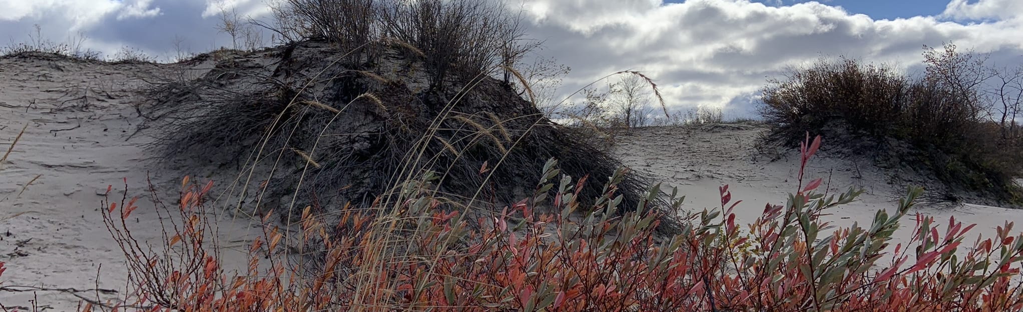 Grand Beach, Manitoba, Canada - 15 Reviews, Map | AllTrails