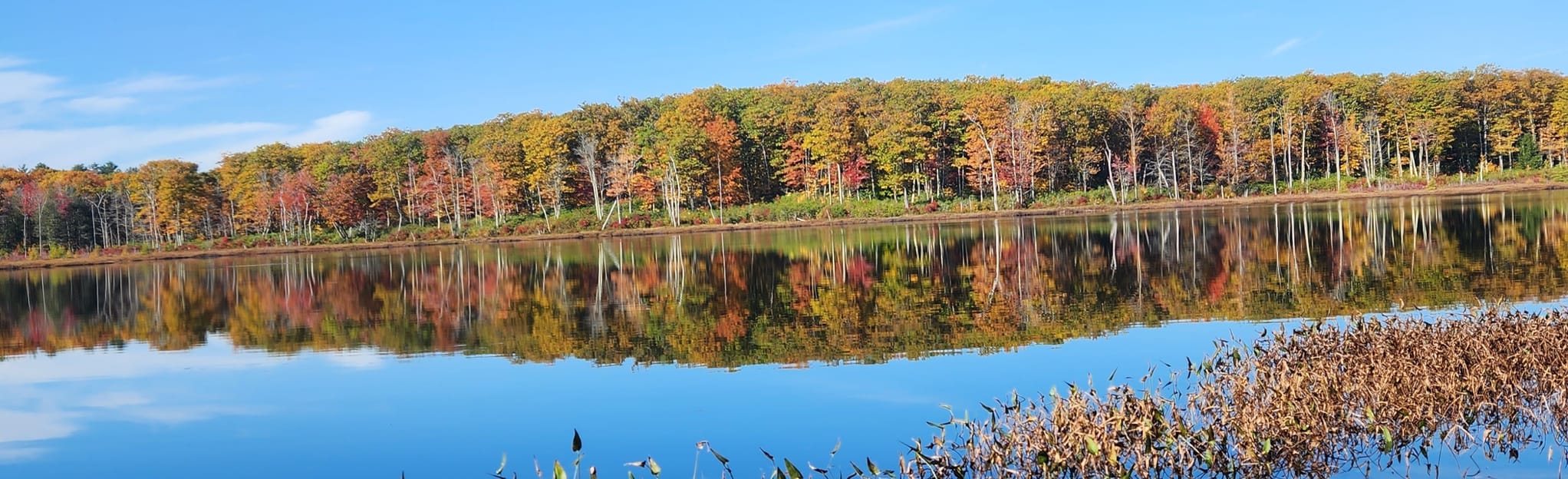 Muddy Pond via Midstate Trail: 70 Reviews, Map - Massachusetts | AllTrails