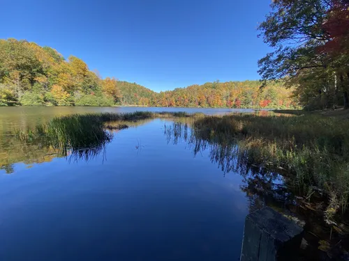10 Best Hikes and Trails in Chestatee Wildlife Management Area | AllTrails