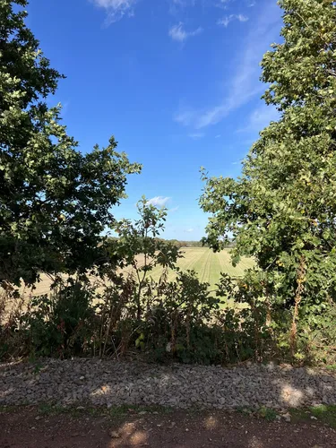 Best Hikes and Trails in Clipstone Forest | AllTrails