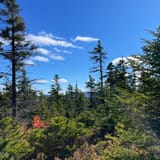 Grafton Loop Trail, Maine - 80 Reviews, Map | AllTrails