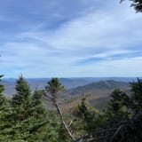 Grafton Loop Trail, Maine - 80 Reviews, Map | AllTrails
