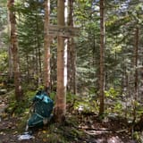 Grafton Loop Trail, Maine - 80 Reviews, Map | AllTrails