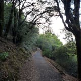 Verna Dunshee Loop, California - 266 Reviews, Map | AllTrails