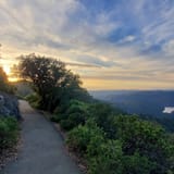 Verna Dunshee Loop, California - 266 Reviews, Map | AllTrails