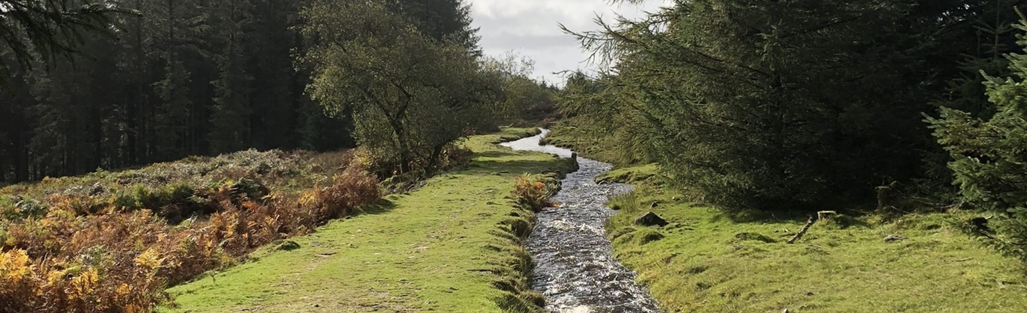 Hart Tor, Burrator Reservoir and South Hessary Tor Circular, Devon ...
