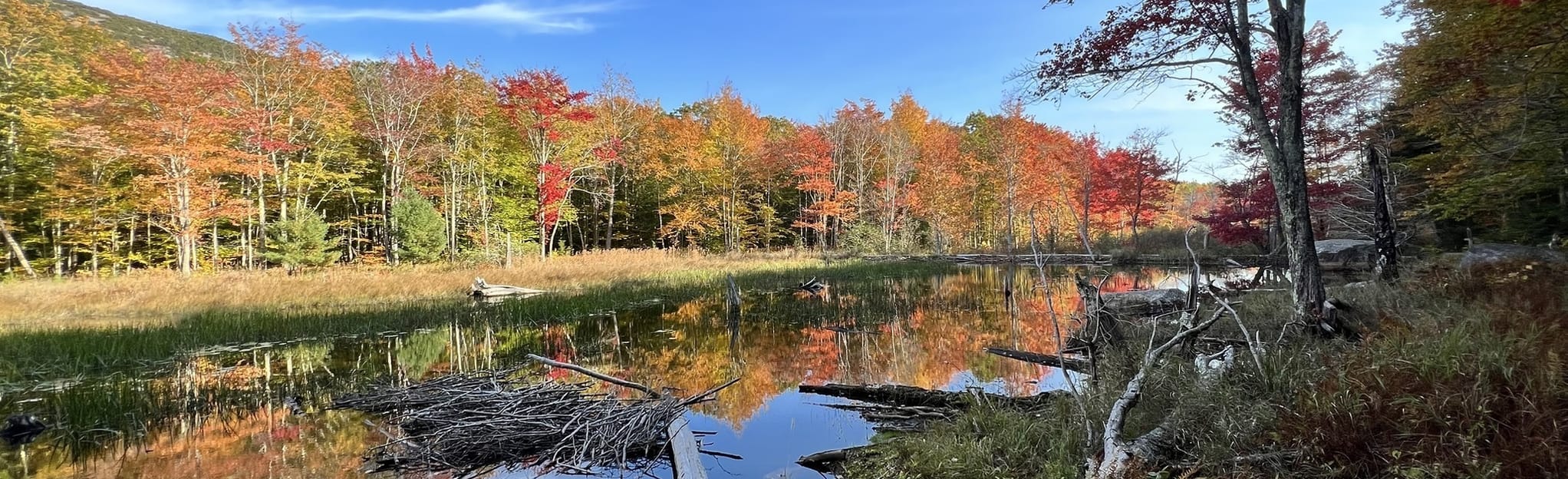 Jesup, Hemlock, Gorge, Murray Young, Canon Brook, and Kane Trail Loop ...