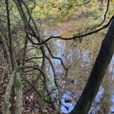 Elk Run, Virginia - 291 Reviews, Map | AllTrails