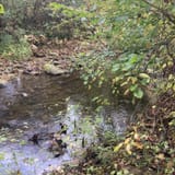 Elk Run, Virginia - 291 Reviews, Map | AllTrails