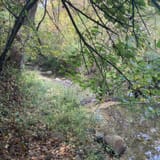 Elk Run, Virginia - 291 Reviews, Map | AllTrails