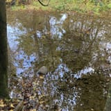 Elk Run, Virginia - 291 Reviews, Map | AllTrails