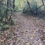 Elk Run, Virginia - 291 Reviews, Map | AllTrails