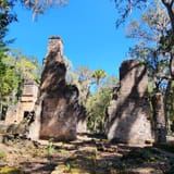 Bulow Woods Hiking Trail, Florida - 227 Reviews, Map | AllTrails