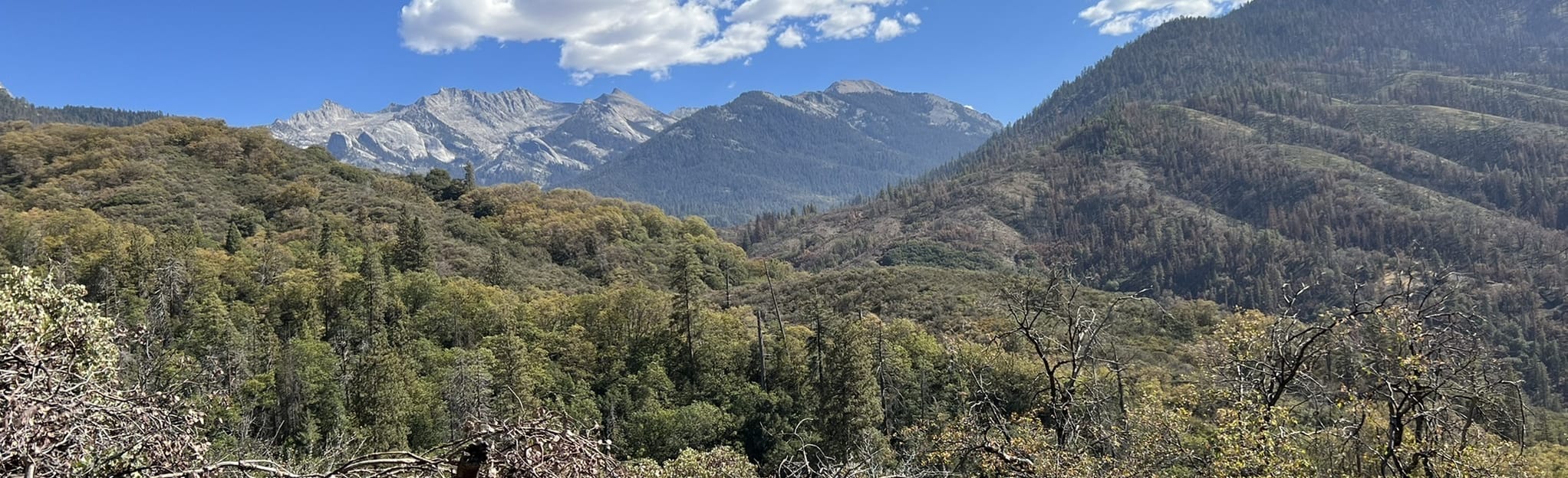 Hamilton Lakes via Middle Fork Kaweah, Bearpaw, and High Sierra Trail ...