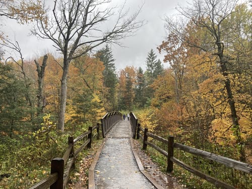 Best 10 Hikes and Trails in Kaaterskill Wild Forest | AllTrails