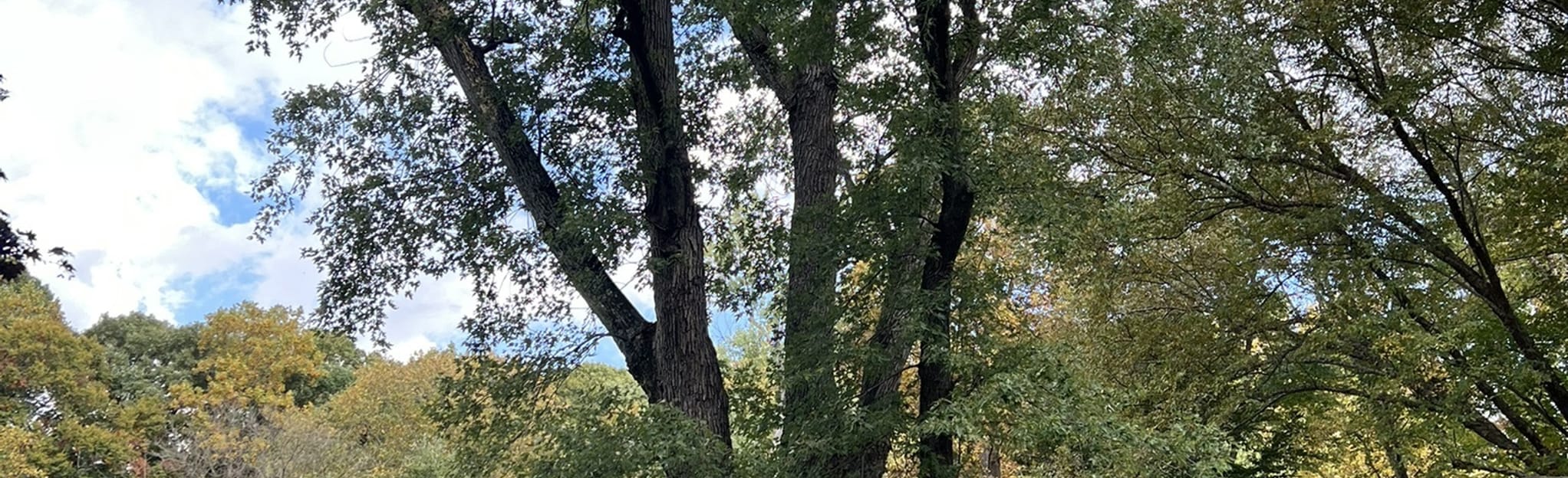 Laurel Patuxent River Trail: 211 Reviews, Map - Maryland | AllTrails