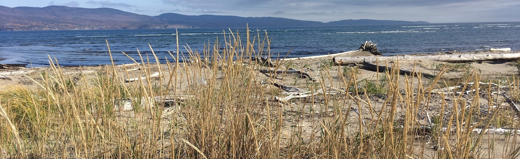 Boom Defense Point: 16 foto's - Quebec, Canada | AllTrails