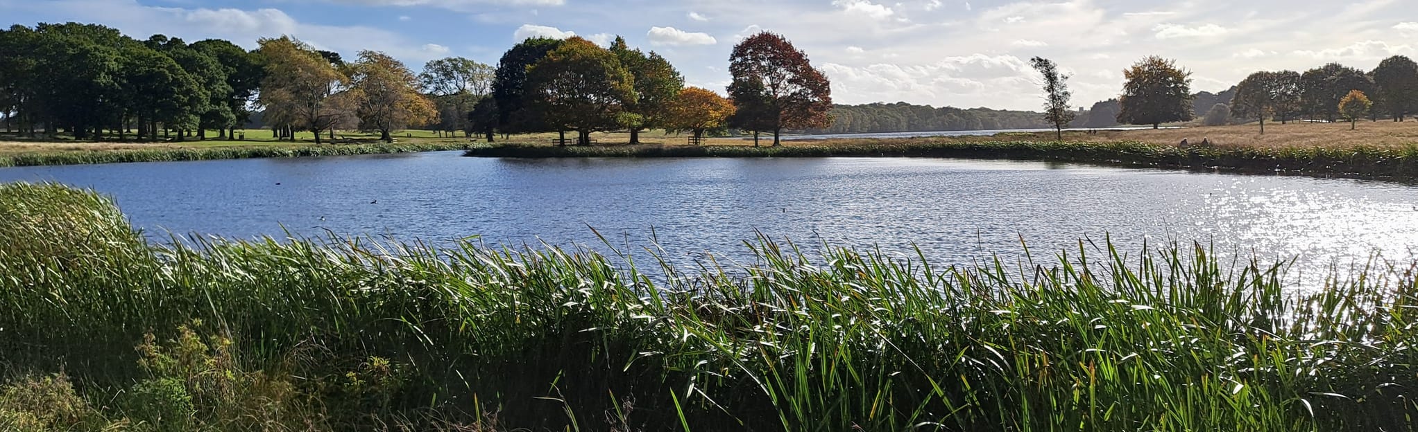 Tatton Park and Tatton Mere Circular - Cheshire, England | AllTrails