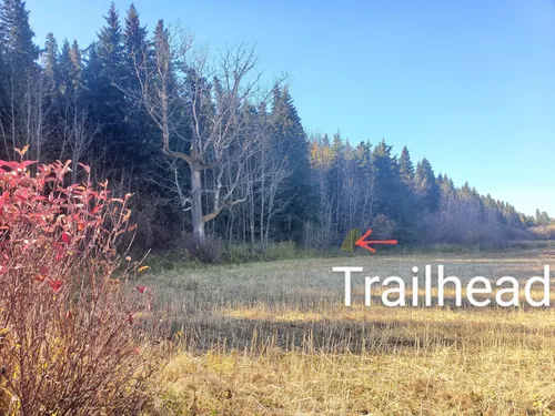 Best Hikes and Trails in Bittern Lake | AllTrails