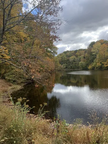 Best Hikes and Trails in Morgan Monroe State Forest | AllTrails