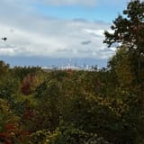 Lookout Ridge Loop and Skyline Overlook, Ohio - 658 Reviews, Map ...