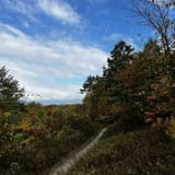 Lookout Ridge Loop and Skyline Overlook, Ohio - 665 Reviews, Map ...
