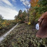 Lookout Ridge Loop and Skyline Overlook, Ohio - 665 Reviews, Map ...